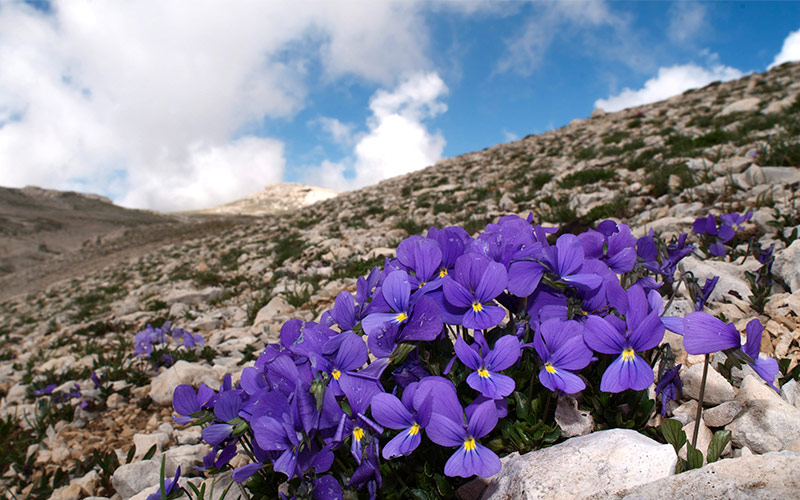 Il Parco della Maiella | Caramanico Terme